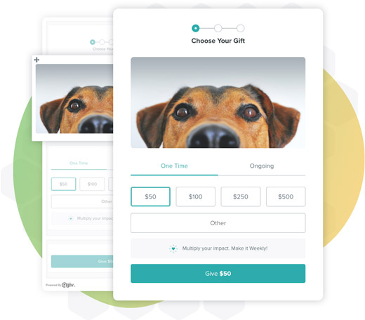 Unlimited Donation Forms for Nonprofit & Faith-Based Organizations | Qgiv