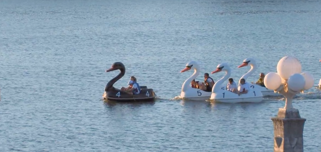 How Fundraisers for Lakeland Volunteers in Medicine Engaged Donors on ...